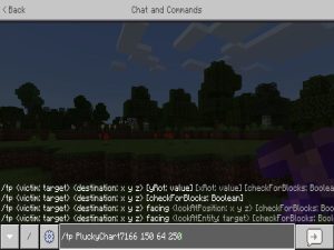 Minecraft 1.20 Teleport Command Guide